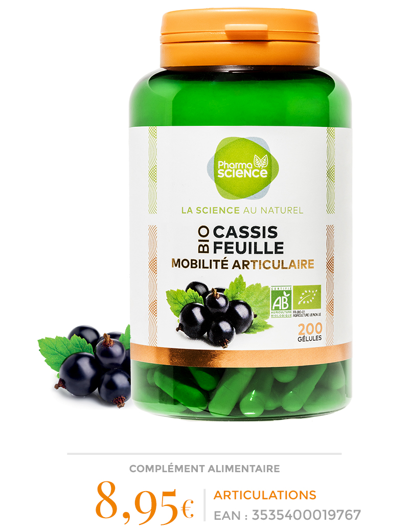 Fruits Secs Melange Vivarini Cassis 500g | Juteux, Goût Acidulé | En ...