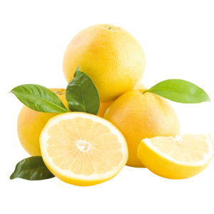 PAMPLEMOUSSE BLANC - Pharmascience